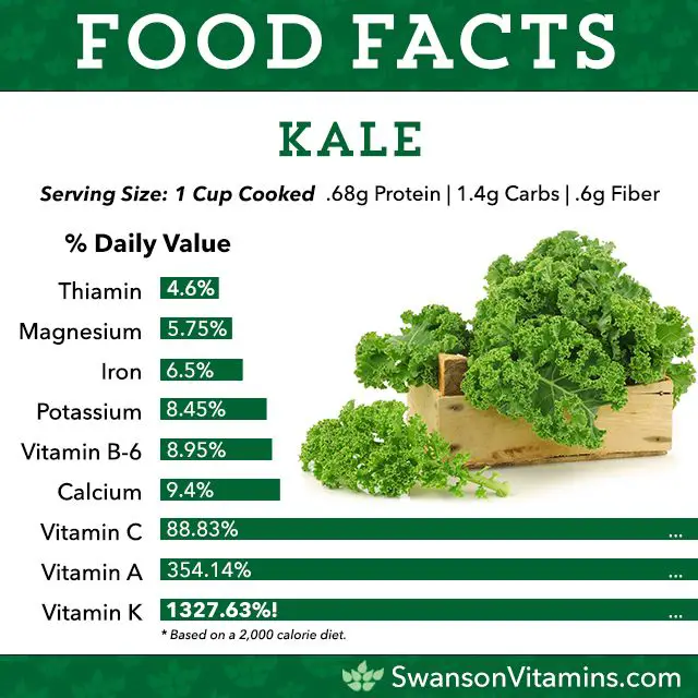 How To Grow Kale Microgreens (7 Easy Steps!)